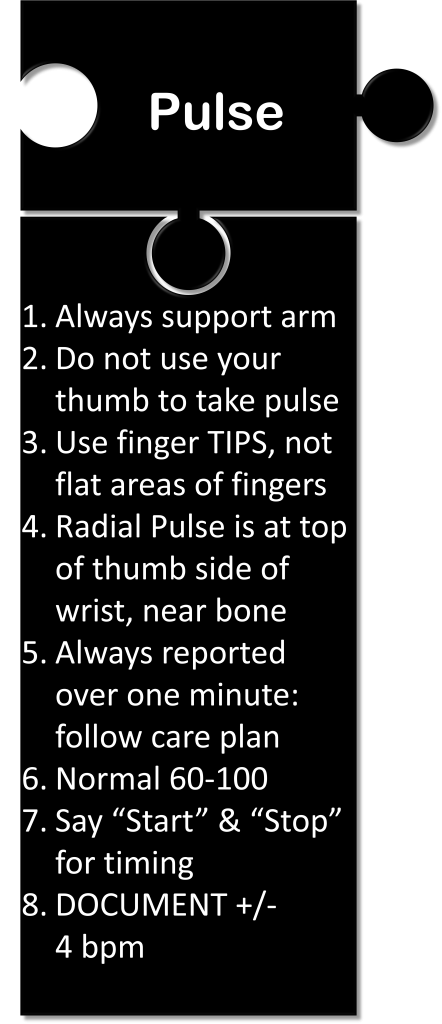 Intro to Pulse - 4YourCNA Courses